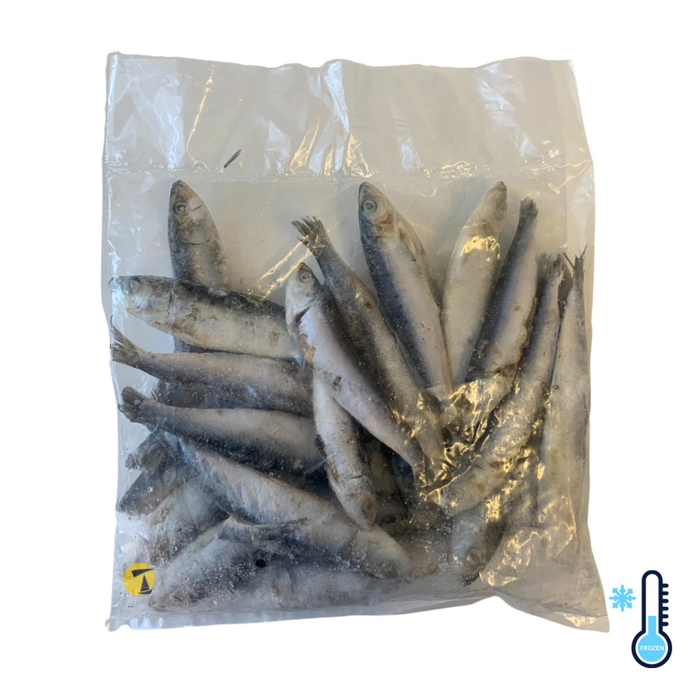 Fastnet Sardines Unglazed IQF - 1kg [FROZEN] — Tradewinds Oriental Shop